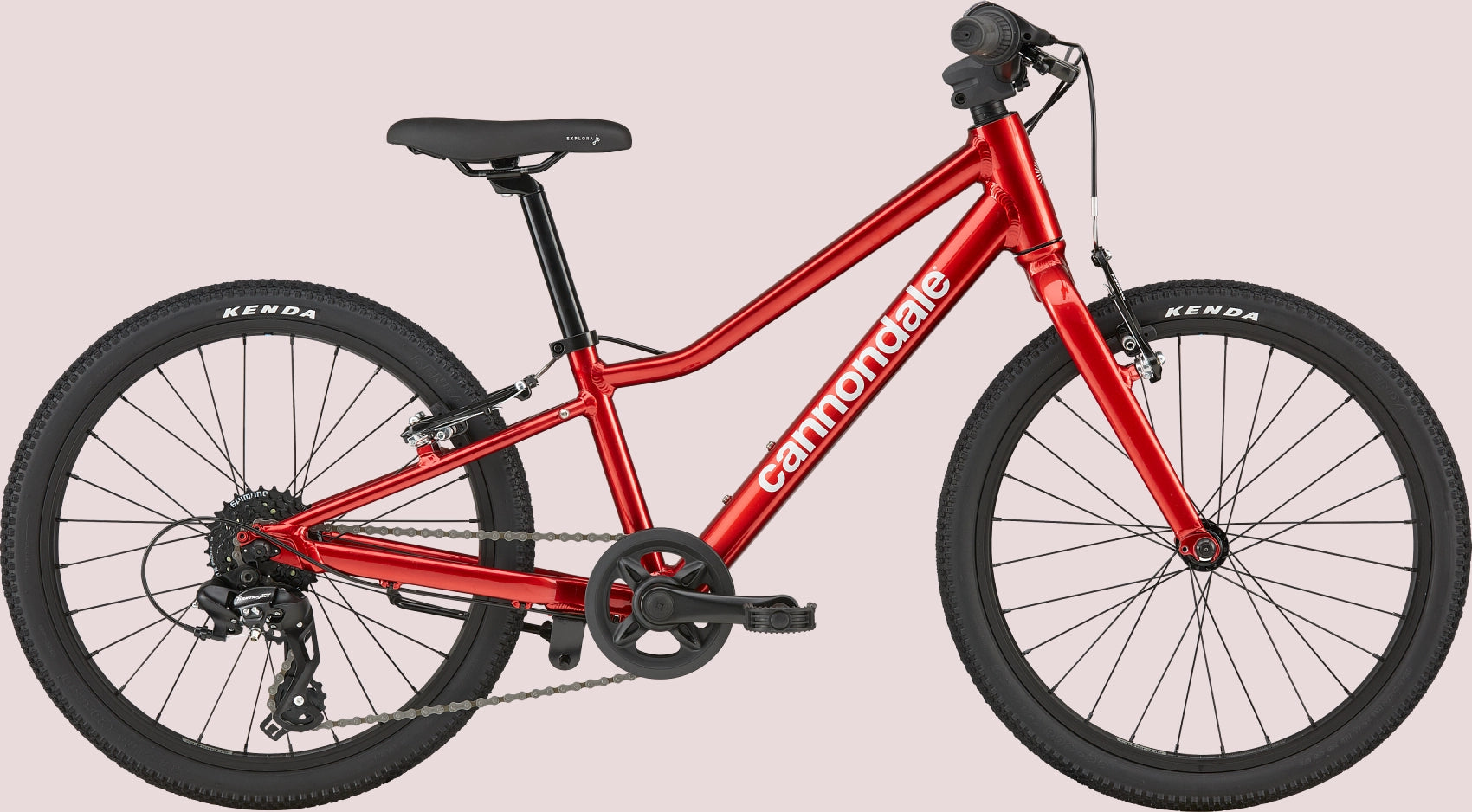 Cannondale Kids Quick 20 – Roy's Bikes